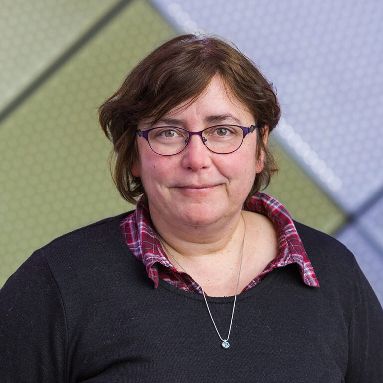 Judith SAUSSE, Professor, Department of Geoscience and Civil ...