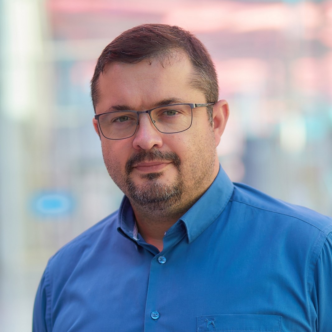 Sébastien ALLAIN, Professor, Department of Materials Science and ...