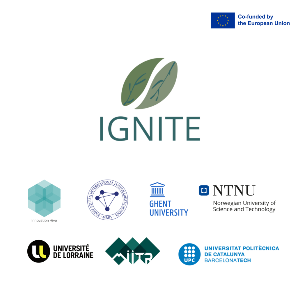 Introducing the IGNITE Project: Empowering Sustainable Innovation ...